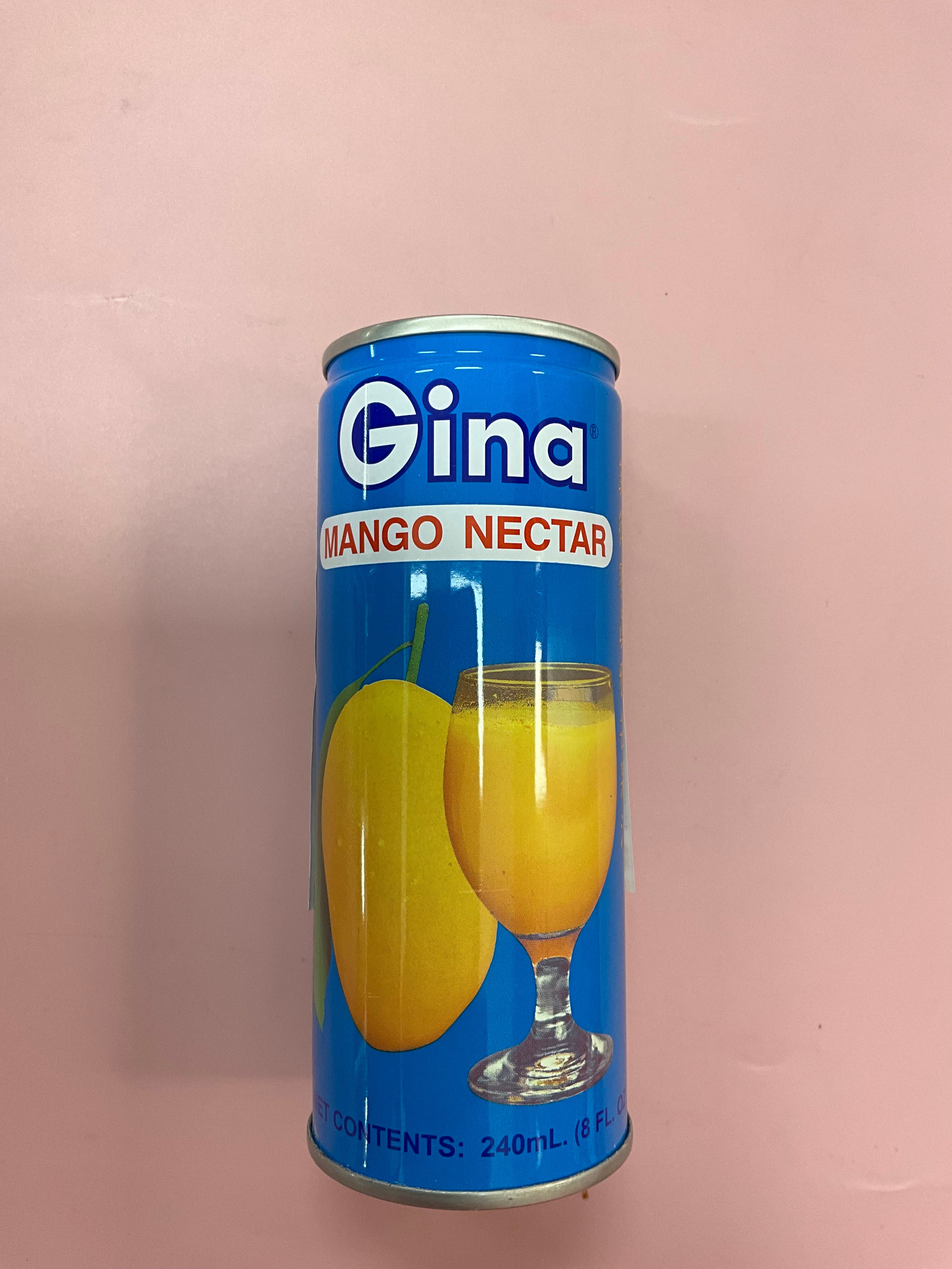 Gina Mango Nectar 240ml – Little Foragers Market